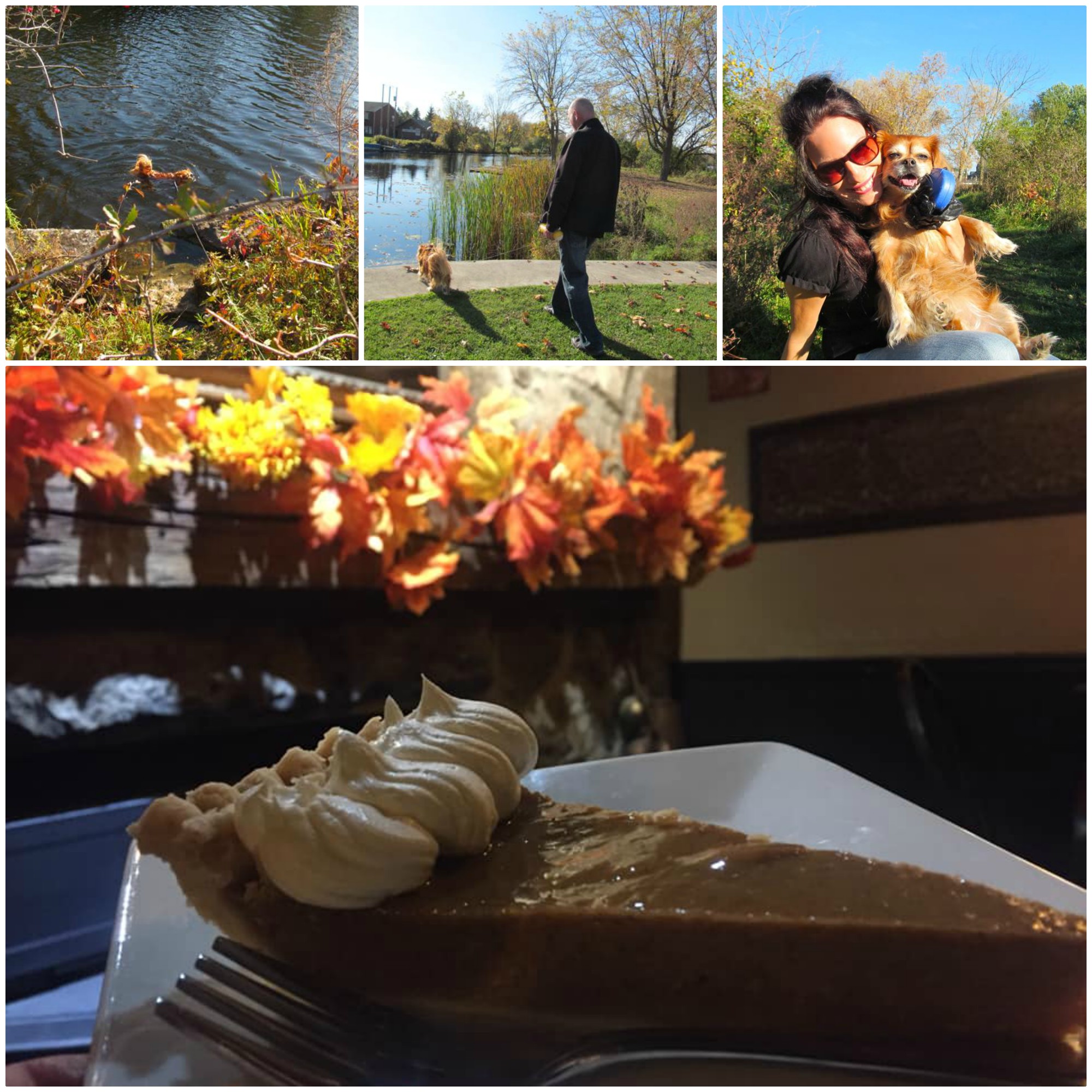 Thanksgiving & Maple Sweet Potato Pie – Pies & Prejudice